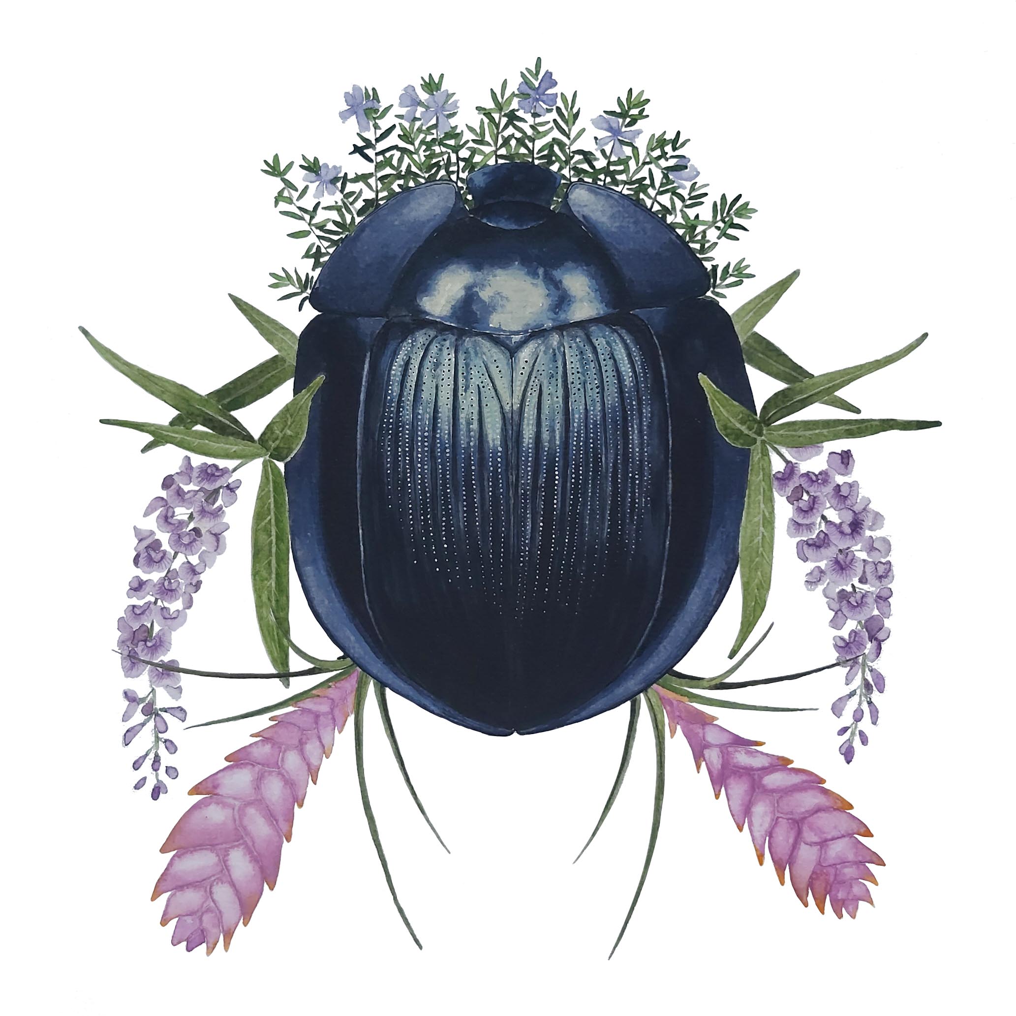 Pie dish beetle – Miss Stephanie art